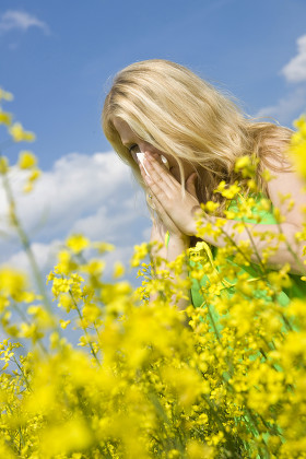 36 Pollinosis Stock Pictures, Editorial Images and Stock Photos ...