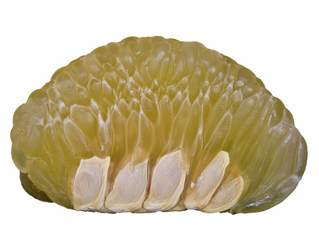 Segment Pomelo Fruit Editorial Stock Photo - Stock Image | Shutterstock