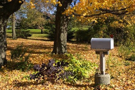 4 Canada post mailbox Stock Pictures, Editorial Images and Stock Photos ...