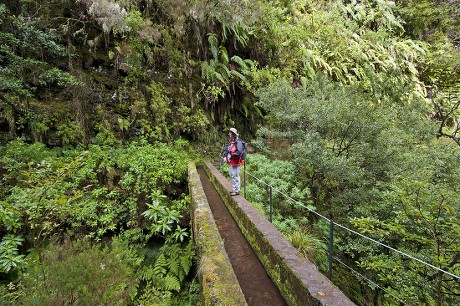 36 Levada trail Stock Pictures, Editorial Images and Stock Photos ...