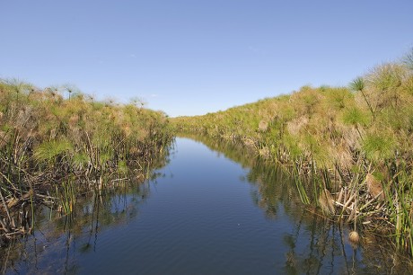 17 Okawango Stock Pictures, Editorial Images and Stock Photos ...