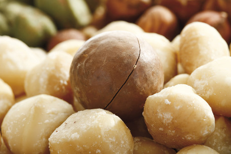 Macadamia Nuts Mixed Nuts Full Format Editorial Stock Photo - Stock ...