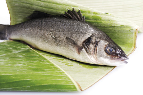 Sea Basse Moronidae On Banana Leaf Editorial Stock Photo - Stock Image ...