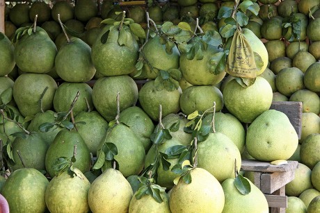 28 Boongon Stock Pictures, Editorial Images and Stock Photos | Shutterstock