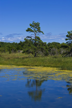 Harilaid Peninsula Vilsandi National Park Saaremaa Editorial Stock ...