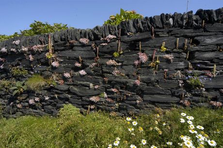 Ancient Monument St Nons Well This Editorial Stock Photo - Stock Image ...