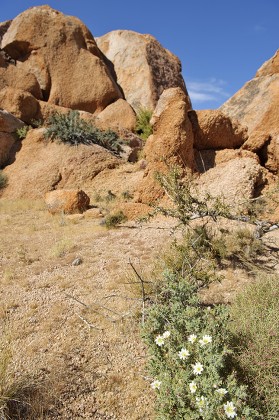 Granite Rocks South Zaris Pass Namibia Editorial Stock Photo - Stock ...
