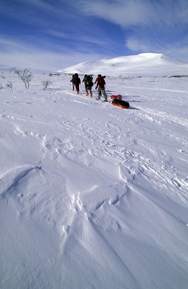 Snowshoe Hikers Pulka Transport Toboggan Valadalen Editorial Stock ...