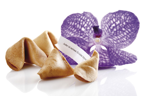 61 Fortune cracker Stock Pictures, Editorial Images and Stock Photos ...