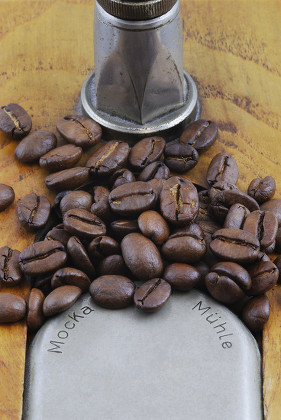 32 Mocca Stock Pictures, Editorial Images and Stock Photos | Shutterstock