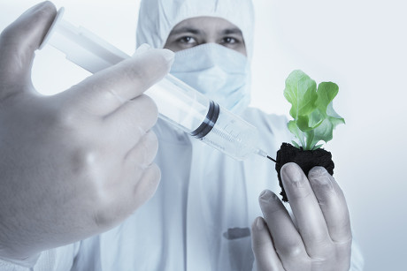 18 Dunging Stock Pictures, Editorial Images and Stock Photos | Shutterstock