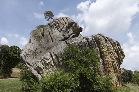 Rocks Late Triassic Period Pine Tree Editorial Stock Photo - Stock ...