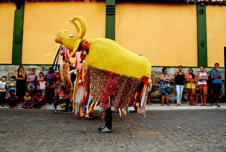 Bumba Meu Boi Dance Editorial Stock Photo - Stock Image | Shutterstock