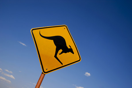 Road Sign Beware Kangaroos Outback Uluru Editorial Stock Photo - Stock ...