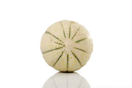 European Cantaloupe Melon Cucumis Melo Cantalupensis Editorial Stock ...