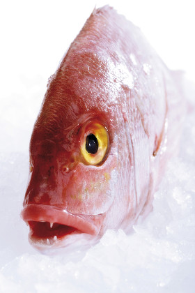 38 Eating fish eyes Stock Pictures, Editorial Images and Stock Photos ...