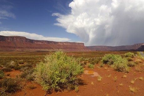 44 American prairies Stock Pictures, Editorial Images and Stock Photos ...