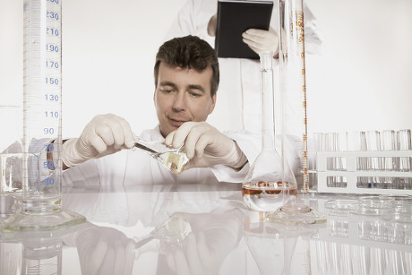 Model Released Chemist Conducting Experiment Lab Editorial Stock Photo ...