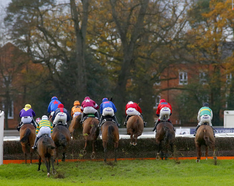Horse Racing, Britain - 28 Nov 2015 Stock Pictures, Editorial Images ...
