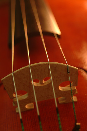 250 Mechanical musical instrument Stock Pictures, Editorial Images and ...