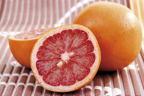 Ruby Red Grapefruits Citrus X Paradisi Editorial Stock Photo - Stock ...