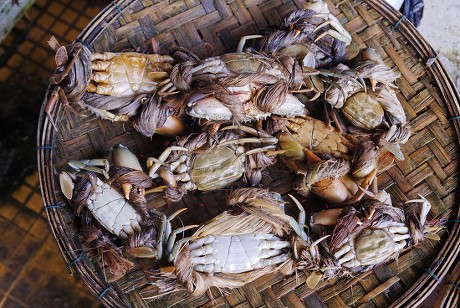 77 Crab stand Stock Pictures, Editorial Images and Stock Photos ...