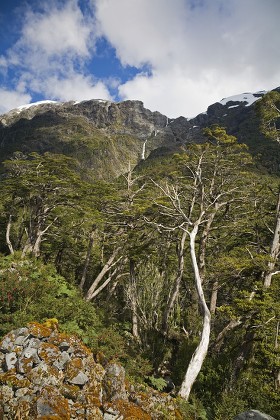 Landscape Carretera Austral Patagonia Chile South Editorial Stock Photo ...
