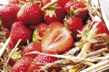 Strawberries Laying Straw Editorial Stock Photo - Stock Image ...