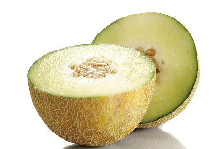 Galia Melon Cucumis Melo Var Reticulatus Editorial Stock Photo - Stock ...