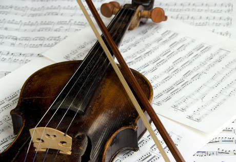 53 Bowed string instrument Stock Pictures, Editorial Images and Stock ...