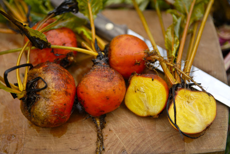 Beetroot Beta Vulgaris Lollipop Mix Freshly Editorial Stock Photo ...