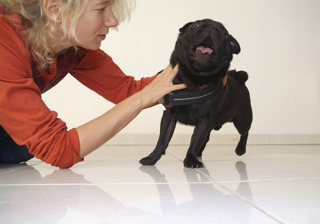 55 Woman mops Stock Pictures, Editorial Images and Stock Photos ...
