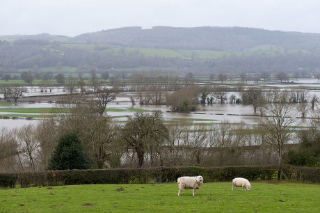 River Severn Bursts Banks Welshpool Caused Editorial Stock Photo ...
