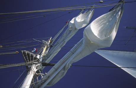 7 Halyard Stock Pictures, Editorial Images and Stock Photos | Shutterstock