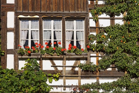 Windows Timbered House 1780 Openairmuseum Ballenberg Editorial Stock ...