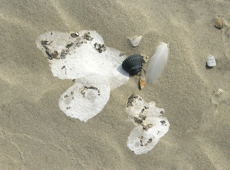 11 Bird shit Stock Pictures, Editorial Images and Stock Photos ...