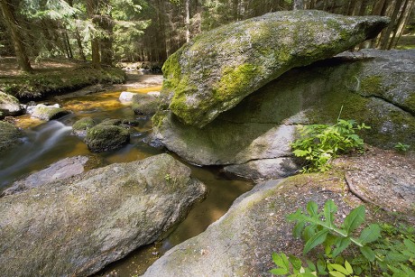 Little Stream Editorial Stock Photo - Stock Image | Shutterstock
