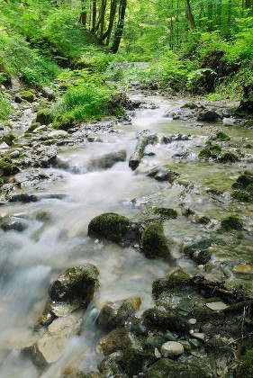 26 Limestone tuff Stock Pictures, Editorial Images and Stock Photos ...
