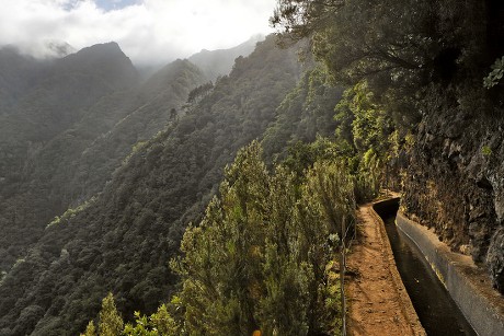 36 Levada trail Stock Pictures, Editorial Images and Stock Photos ...
