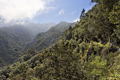 36 Levada trail Stock Pictures, Editorial Images and Stock Photos ...