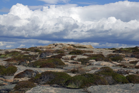 Landscape Granite Rocks Swedish Baltic Sea Editorial Stock Photo ...