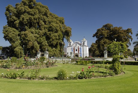 Church Arbol De Tule Tree Tule Editorial Stock Photo - Stock Image ...