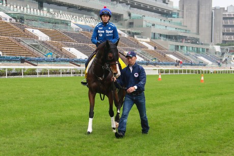 Sha Tin Straight Girl Morning Trackwork Editorial Stock Photo - Stock ...