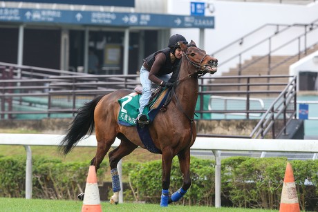 The gallops at Sha Tin Racecourse, Hong Kong, China - 10 Dec 2015 Stock ...