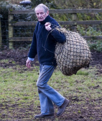 Norman Scott On His Farm Devon Editorial Stock Photo - Stock Image ...