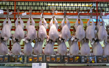 Poultry Hanging Outside Butchers Shop Editorial Stock Photo - Stock ...
