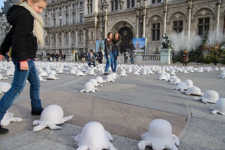 Artist Rachid Khimoune Installation 1000 Turtles Editorial Stock Photo ...
