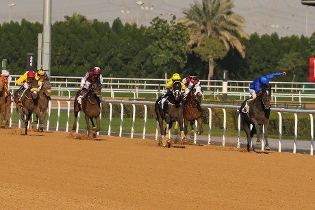 Horse Racing from Meydan, Dubai, United Arab Emirates - 01 Jan 2015 ...