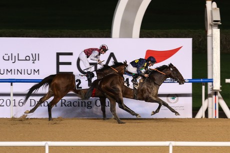 Dubai Meydan Race Track Editorial Stock Photo - Stock Image | Shutterstock