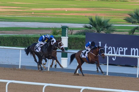 Dubai Meydan Race Track Editorial Stock Photo - Stock Image | Shutterstock